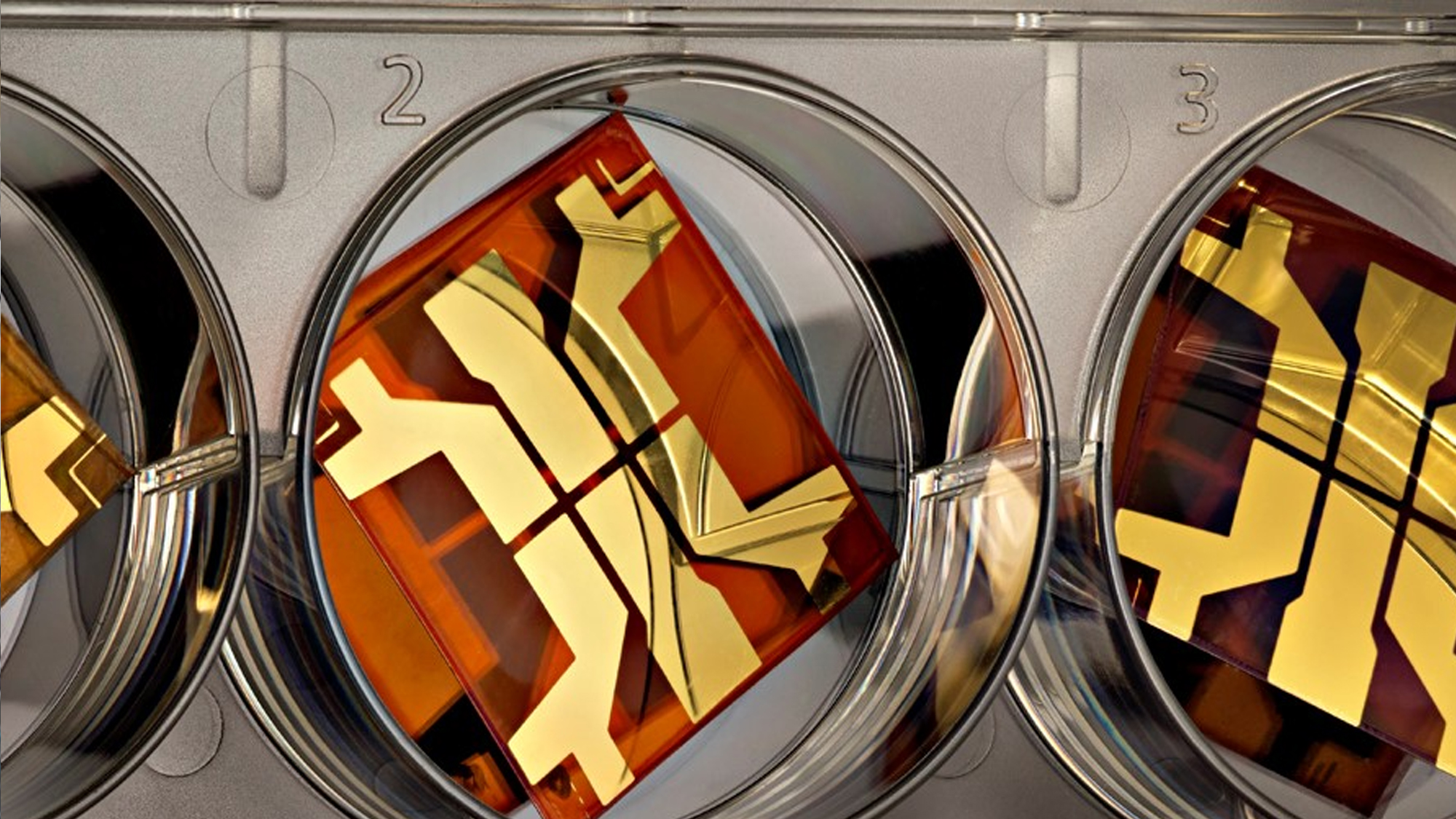 Swift Solar: Wie ein Österreicher ein Solar-Startup im Silicon Valley ...