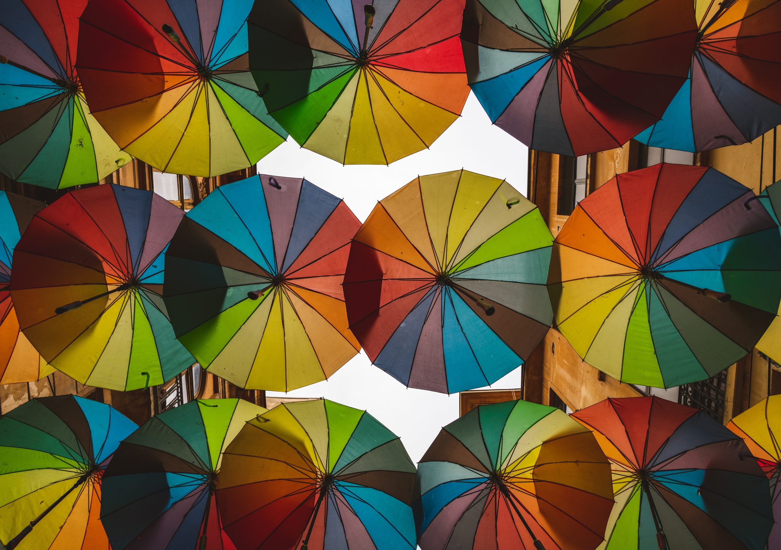 Romanian Gamified Tourism Platform Questo Raises €300K And Aims To Grow ...