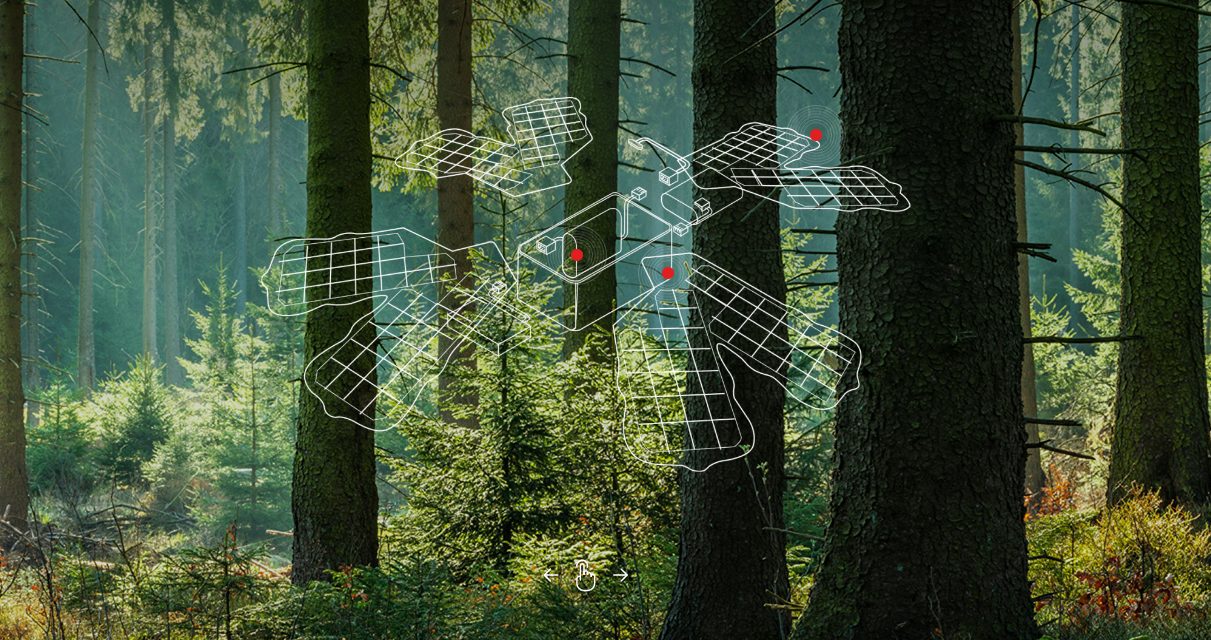 Digital guardians: Vodafone powers smart forest to prevent illegal ...