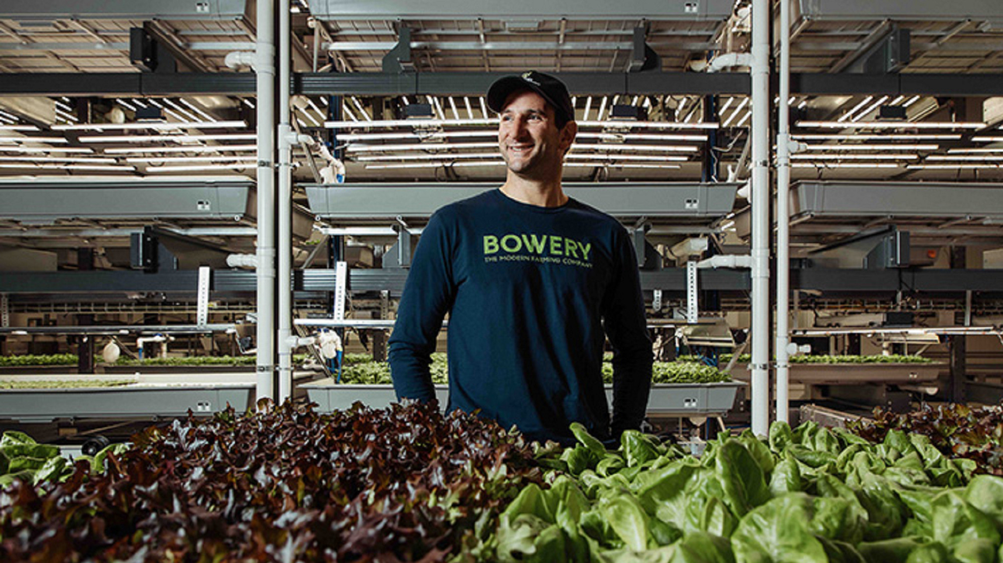 Vertical Farming: US-Startup Bowery Farming boomt in Corona-Zeit