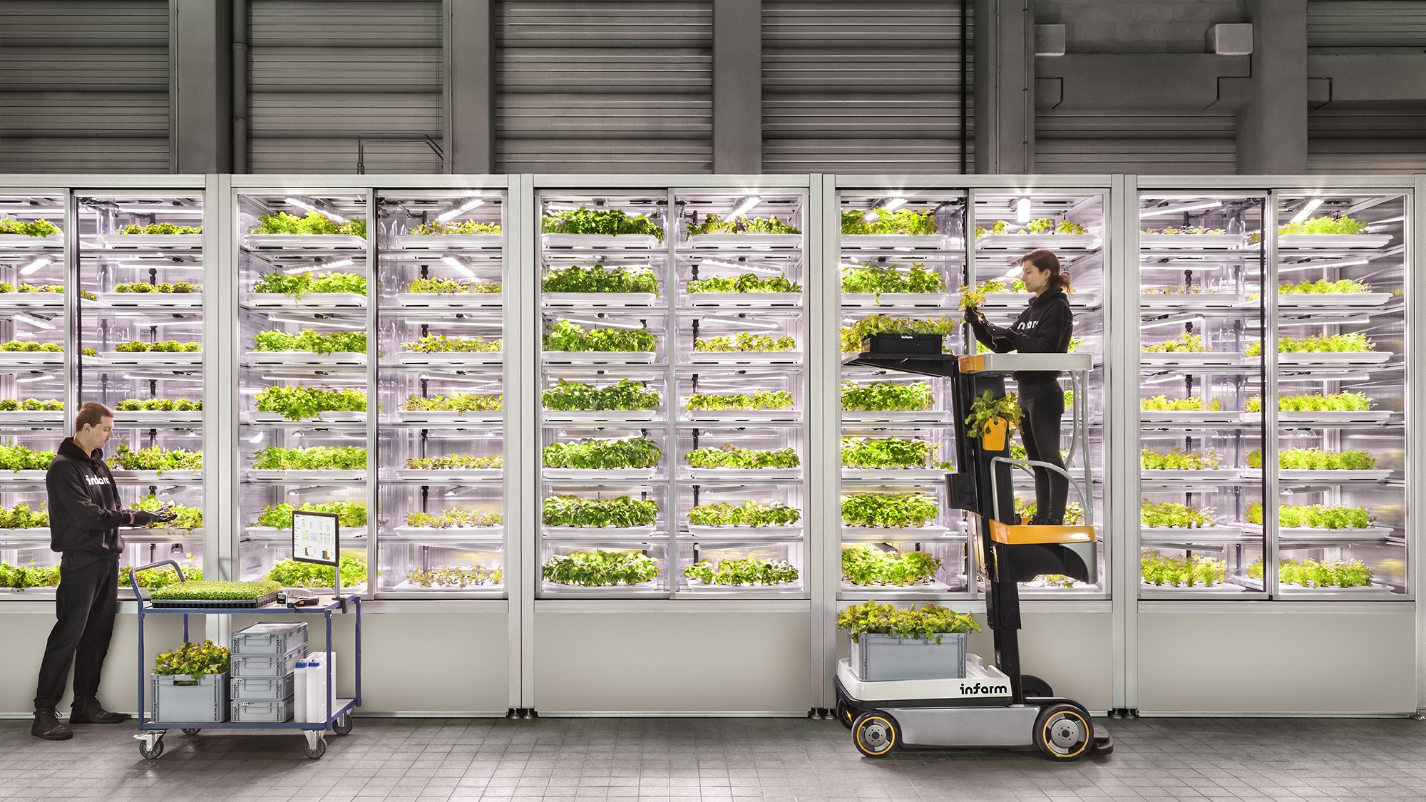 Infarm: Deutsches Indoor-Farming-Startup entlässt 500 Mitarbeiter:innen