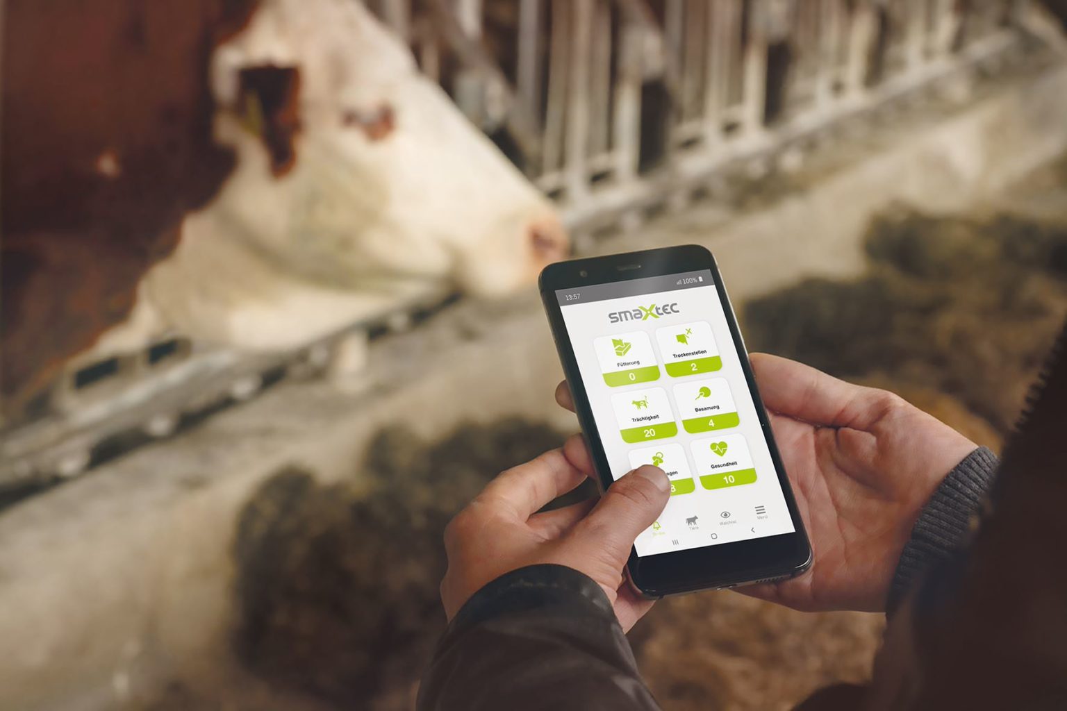 smaXtec: 5 Mio. Euro für das Grazer Startup mit den Milchkuh-Sensoren