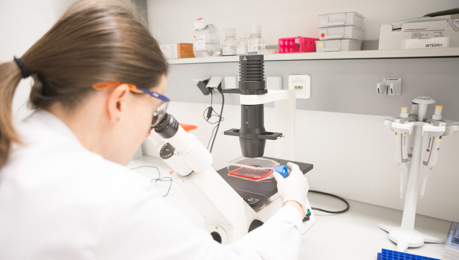 CEBINA: How the incubator brings CEE biotech projects to the ...