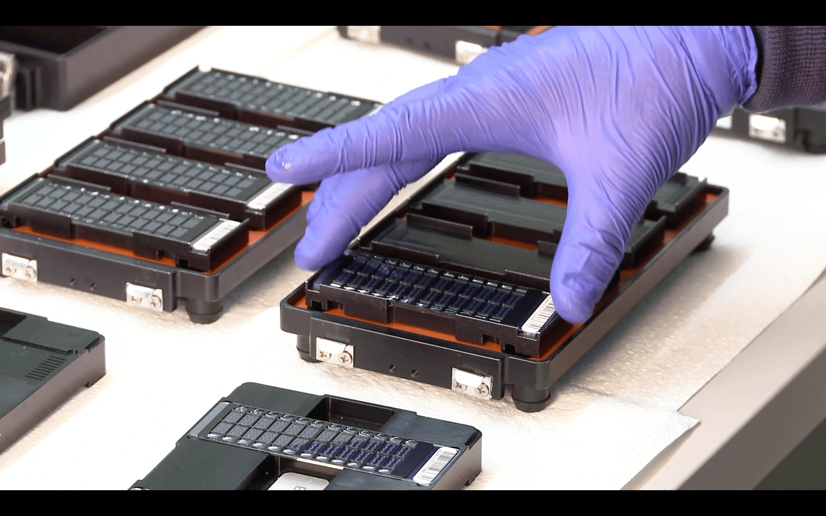 23andMe: Einstiges Milliarden-Startup insolvent, CEO Anne Wojcicki ...