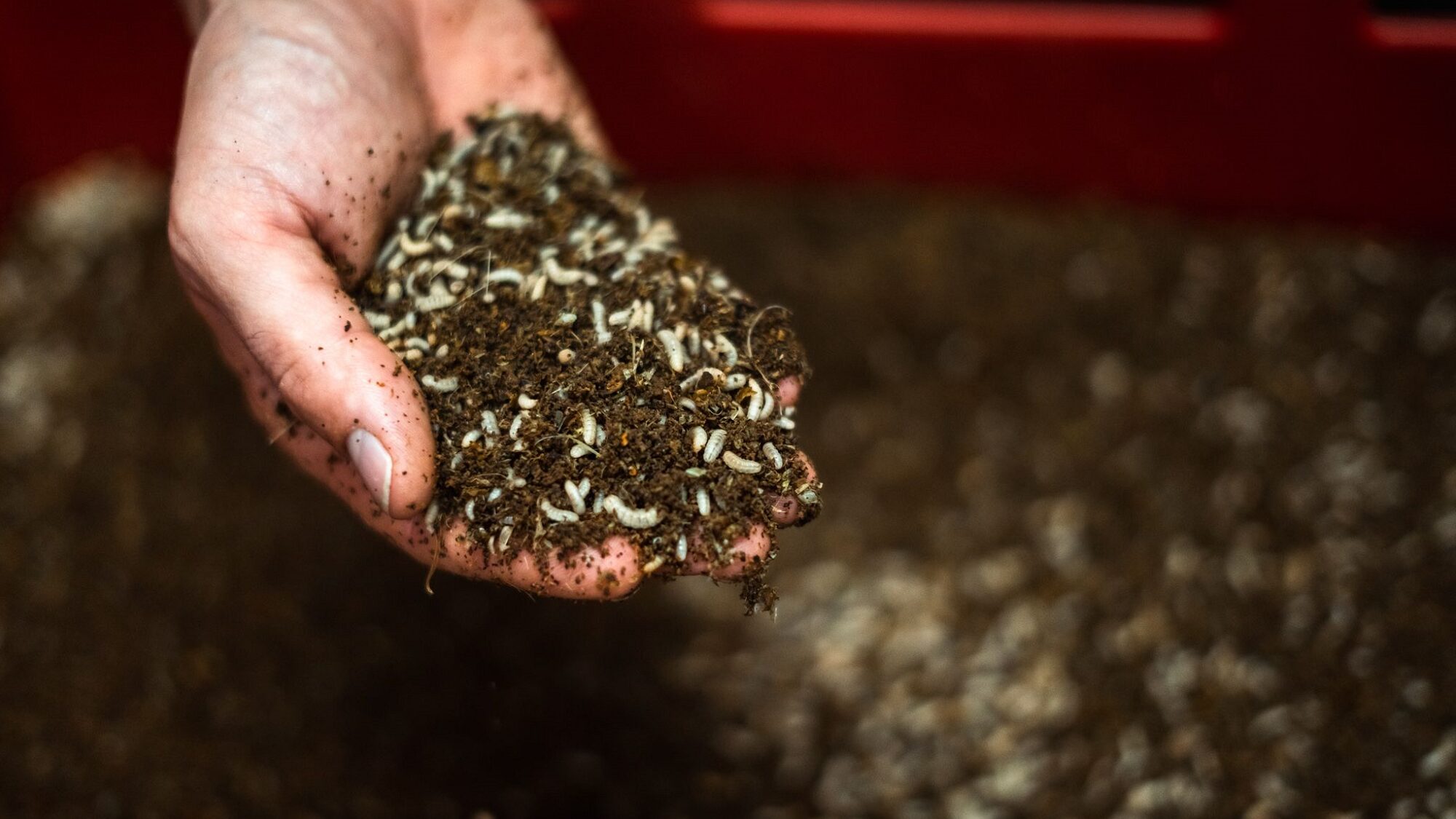 George: Banking-App der Erste wird stärker gegen Neobroker und ...