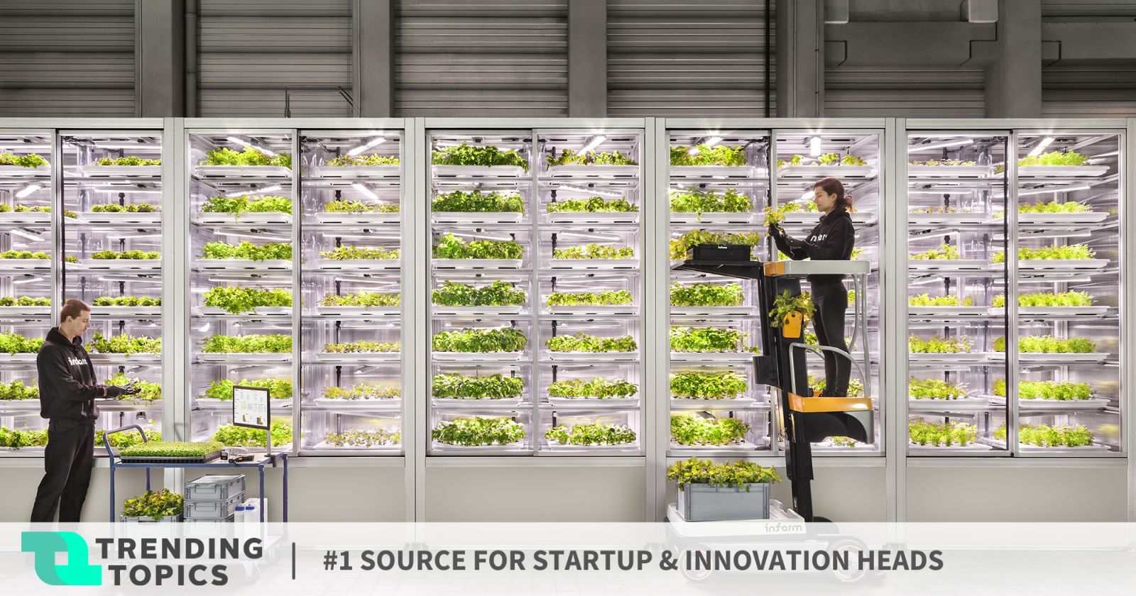 Infarm: Deutsches Indoor-Farming-Startup entlässt 500 Mitarbeiter:innen