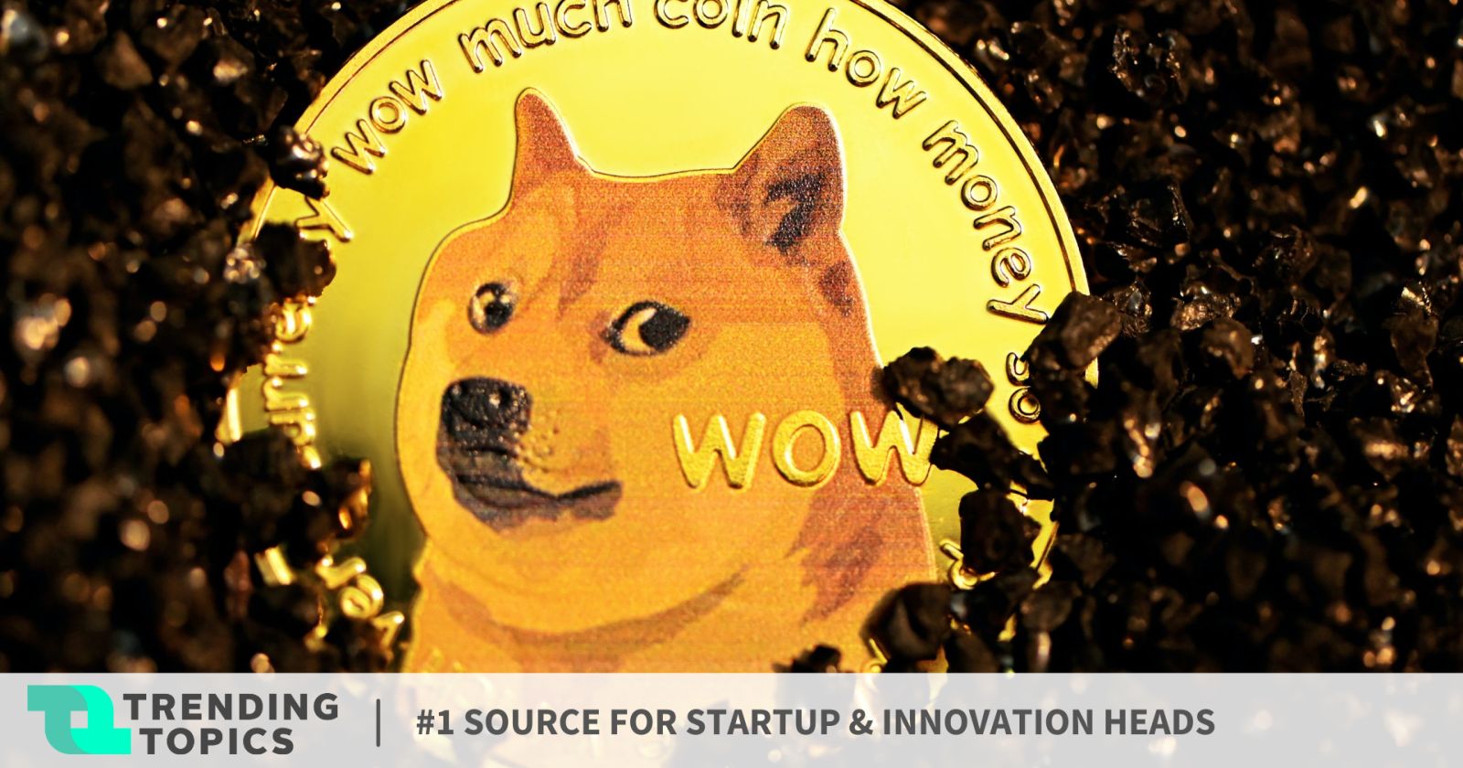 Große Überraschung: Gehypter Meme-Token SHIBA INU stürzt ab