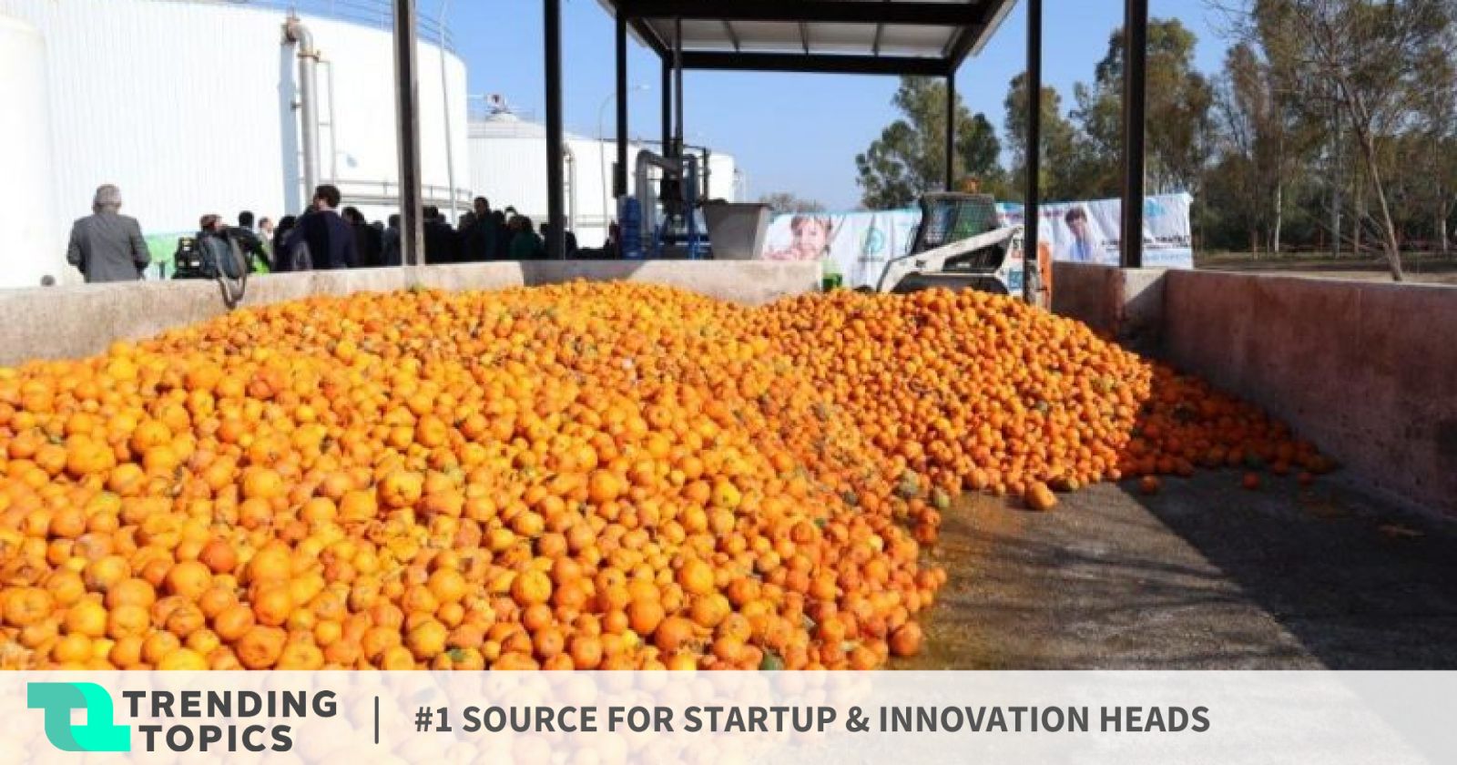Fruit Power: In Spain, Seville Will Produce Electricity From Rotten Oranges