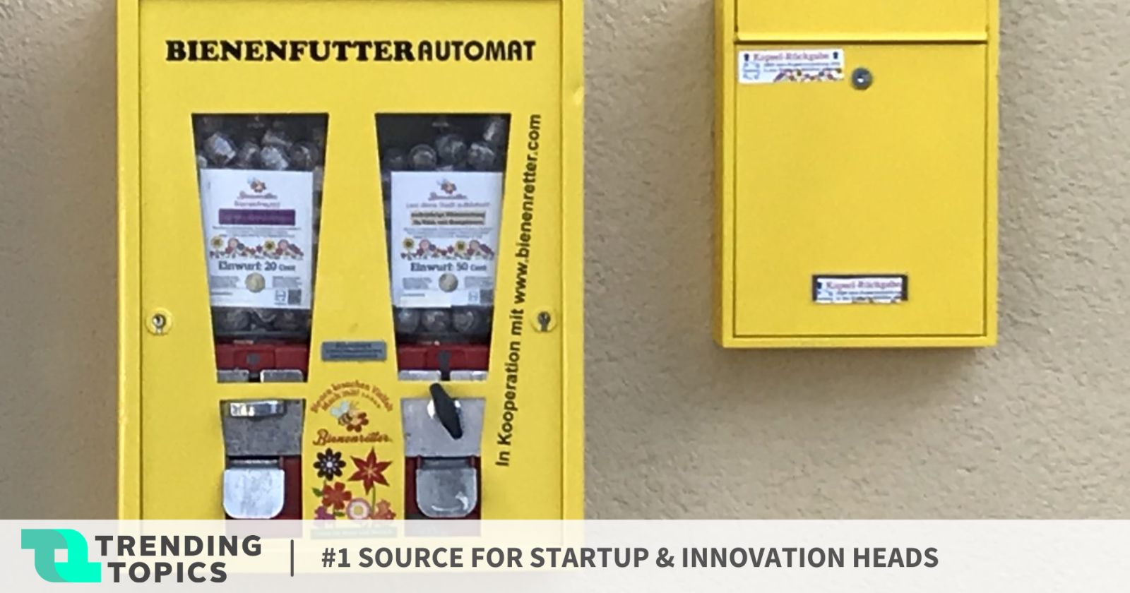 Bee feeders: German inventor creates vending machines that dispense ...